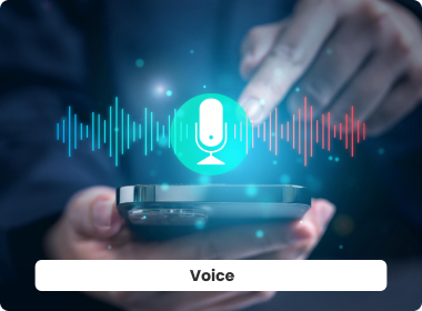 Business Verification API | OTP Verification API | Verify API